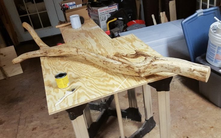 How to treat tree branches for indoor use & decor!