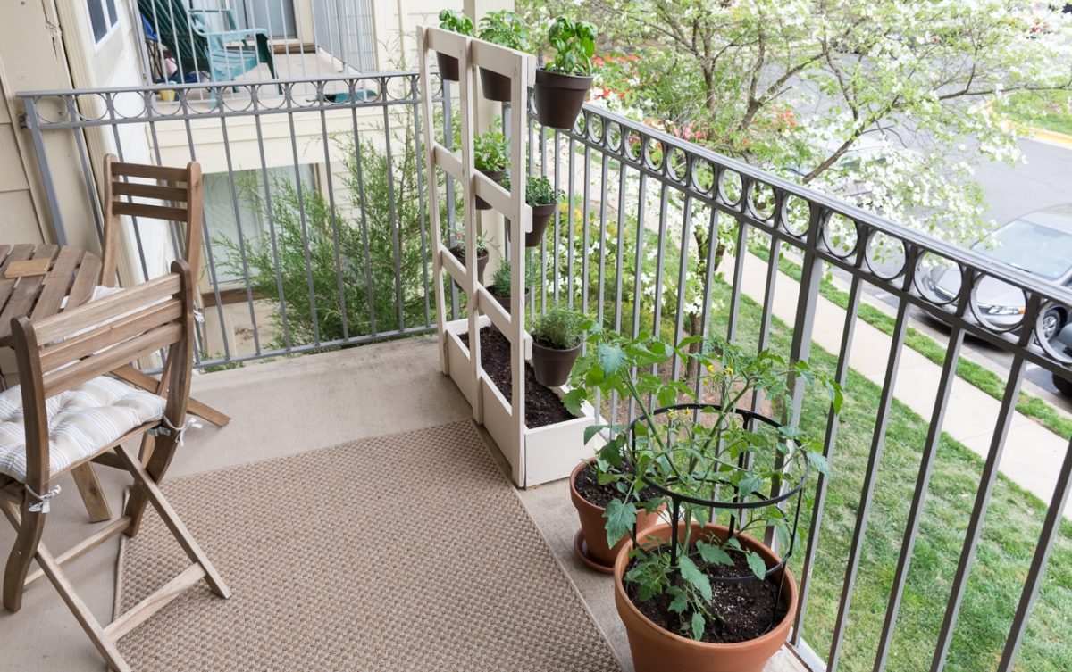 How to build a vertical garden, perfect for small spaces & balconies!