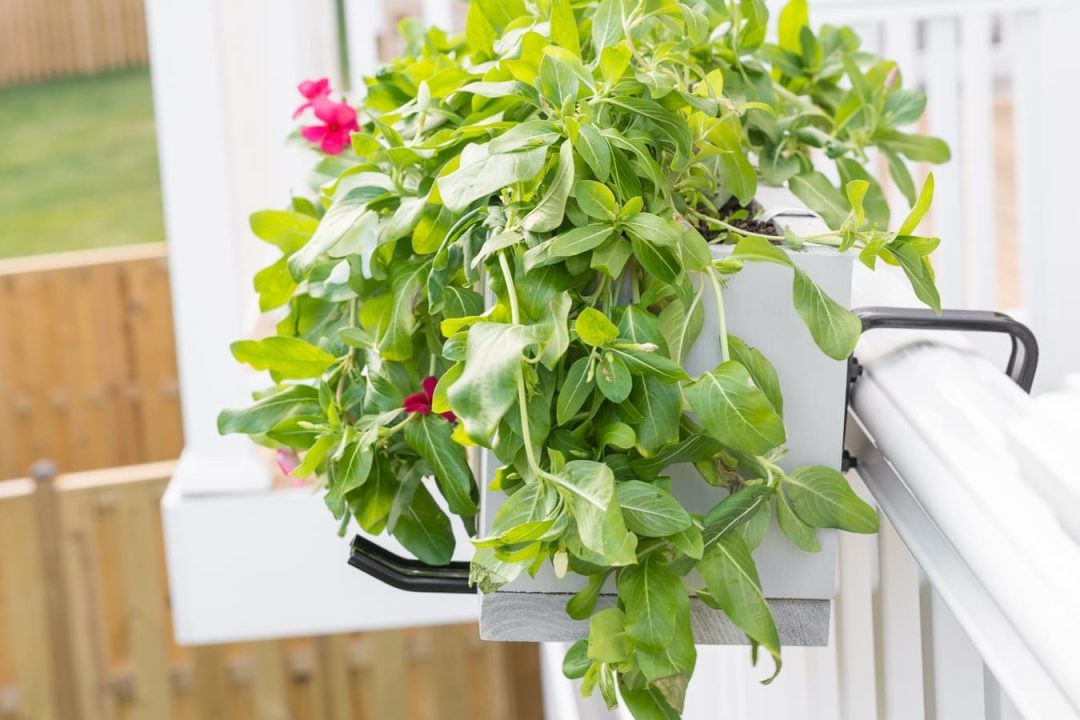 Learn how to build a DIY railing planter box with this tutorial!
