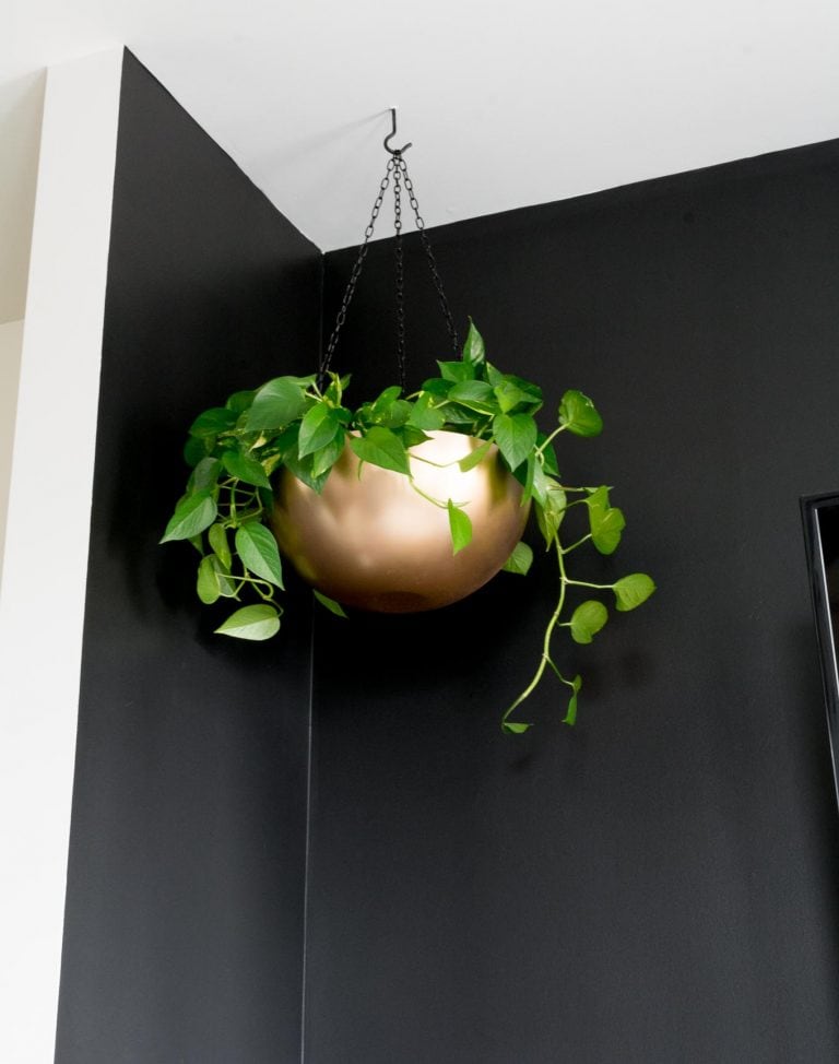 How to hang a planter from the ceiling the right way!