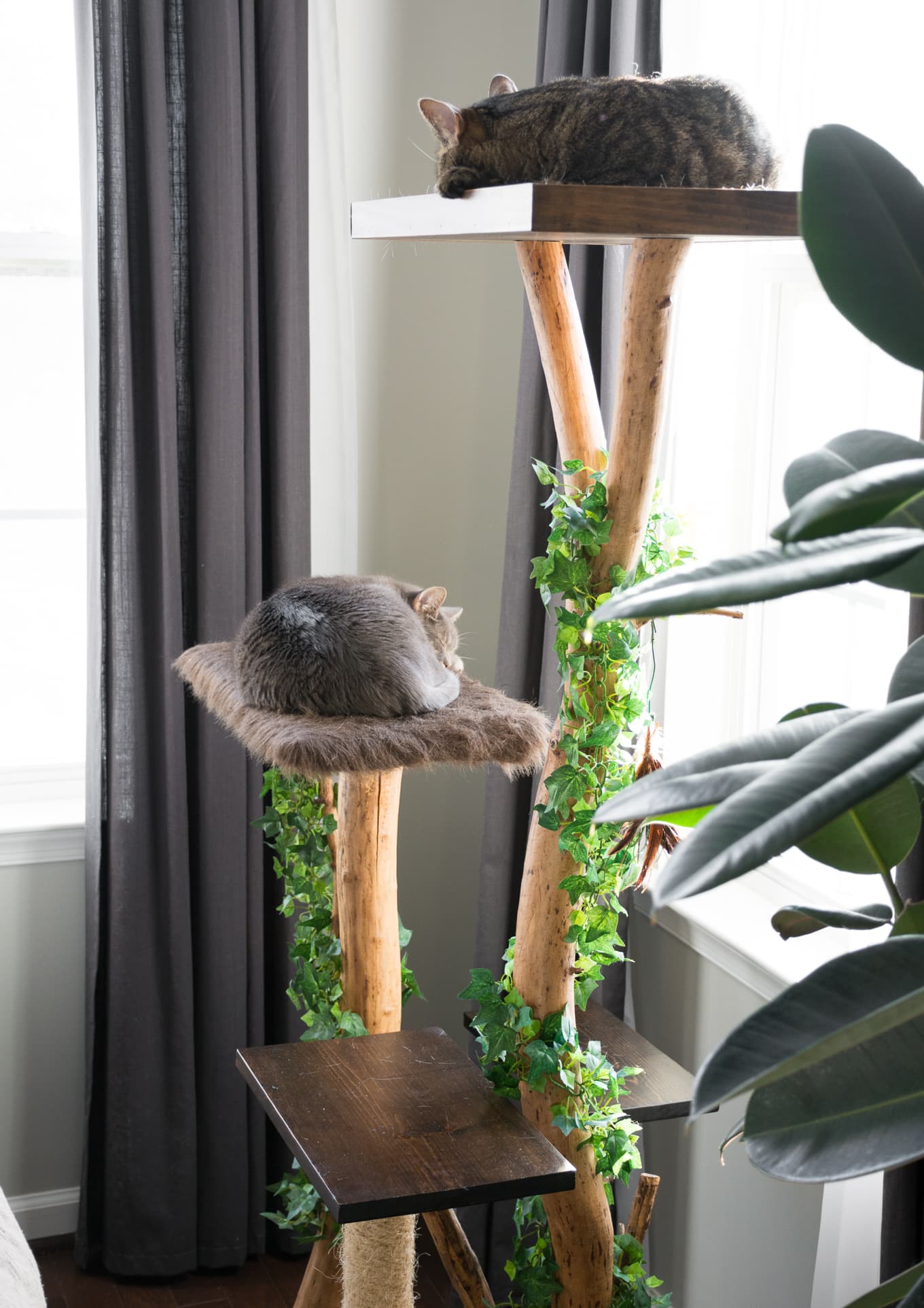 DIY Tree Branch Cat Tree An Update On My Favorite Project 