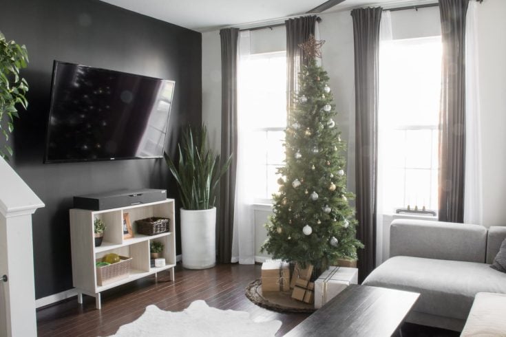 How to Take Care of a Potted Christmas Tree the Right Way