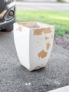 Waterproofing Clay Pots Using Thompson's Water Seal!