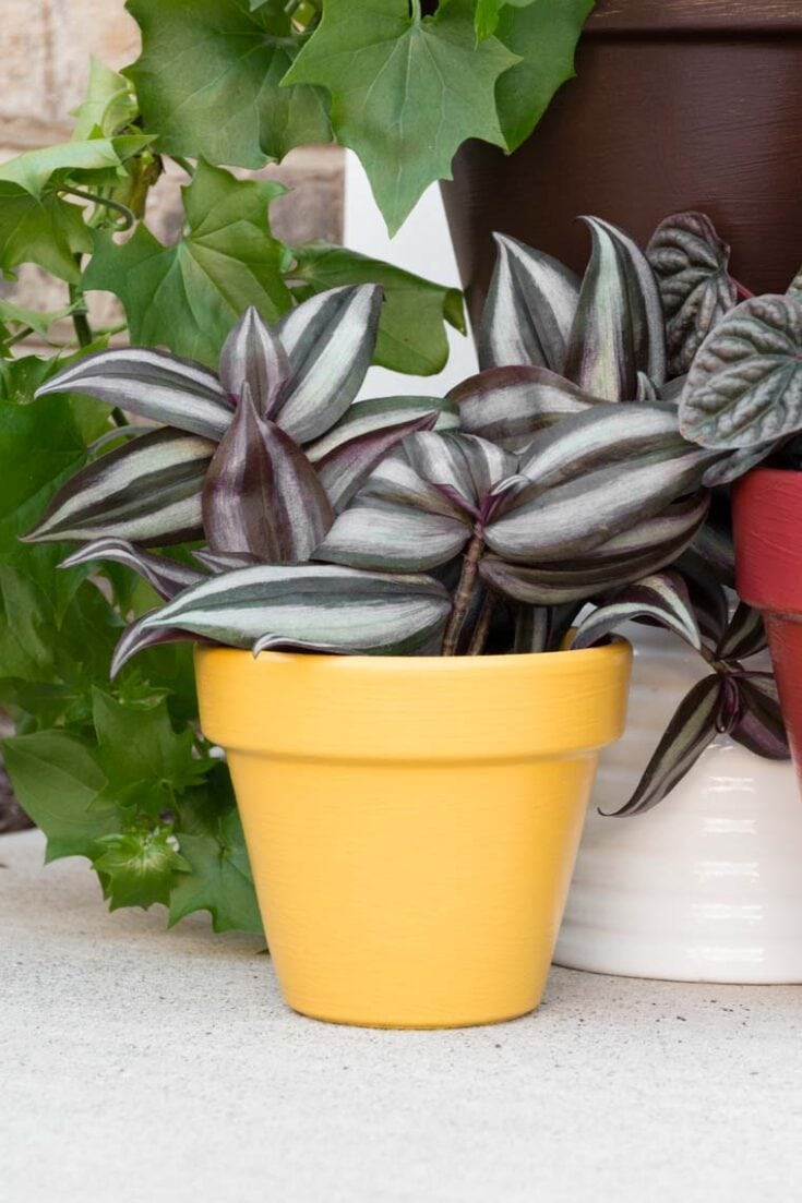 How to Paint Flower Pots for Outdoors: Easy Fall Front Porch Decorating