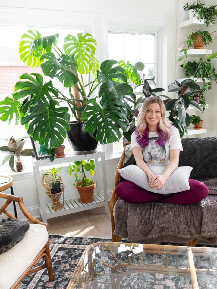 Monstera deliciosa care & how I grew my huge plant indoors!