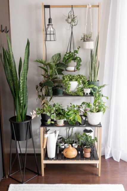 27 of my DIY indoor planters to help you decorate with plants!