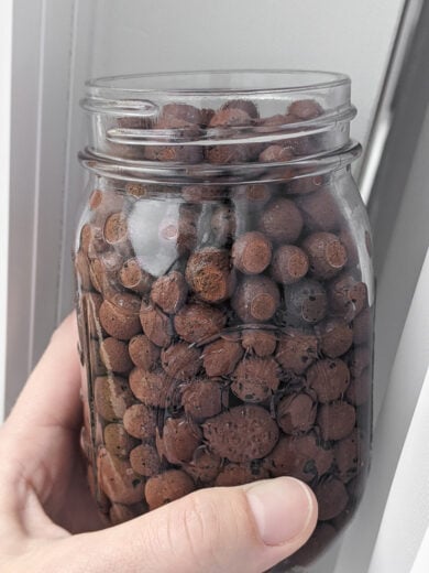 How to propagate cuttings in LECA...for complete beginners!