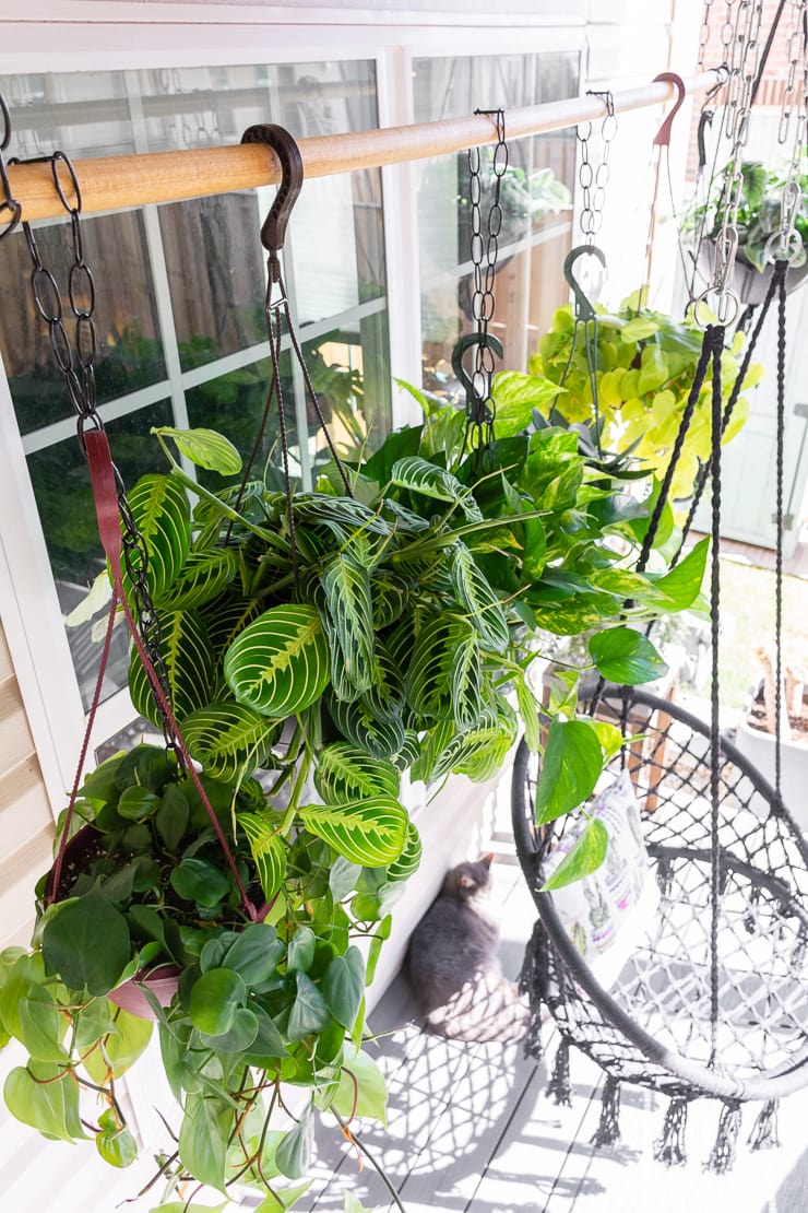 Indoor Plant Hanger Jo. Devivre Plant Hangers Rod For Indoor Plants ...