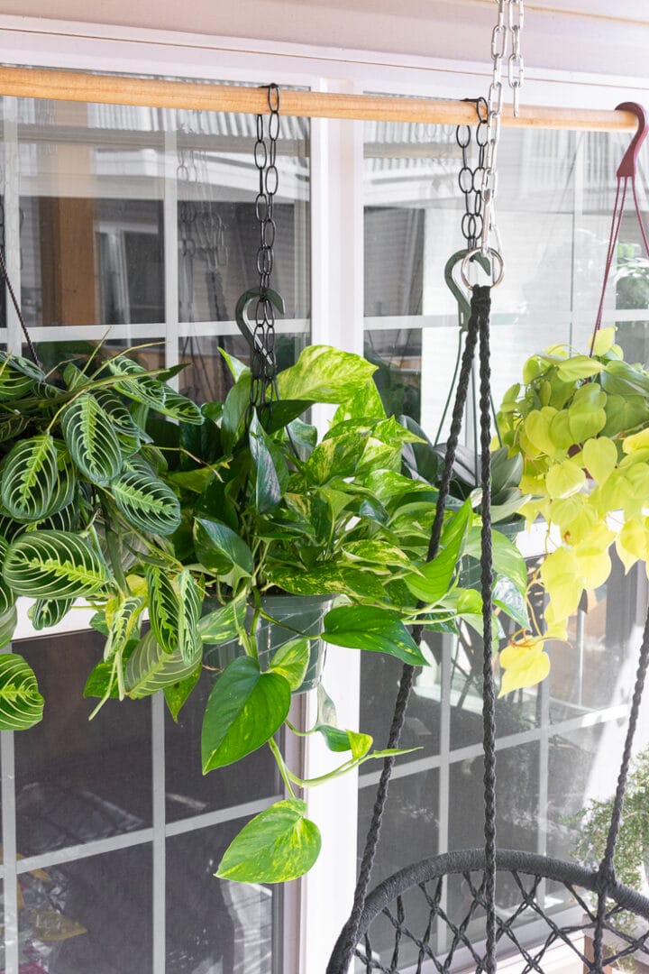 How to set up a DIY hanging plant rod to hang lots of plants
