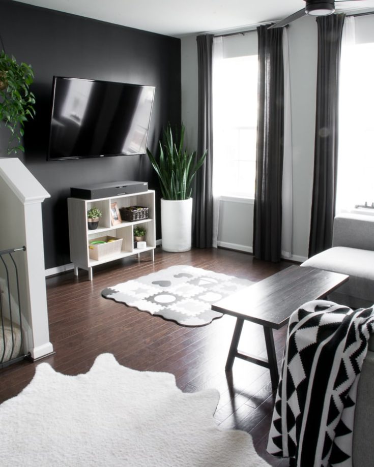 Your guide to caring for the hardy, timeless snake plant!