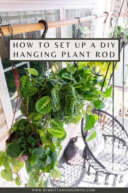 How to set up a DIY hanging plant rod to hang lots of plants