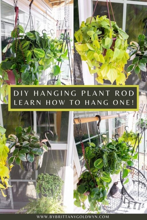 How to set up a DIY hanging plant rod to hang lots of plants