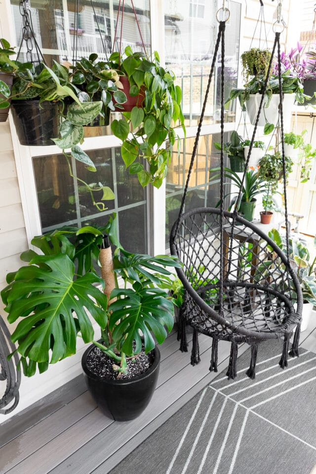 Check out my DIY moss pole alternative using jute instead!