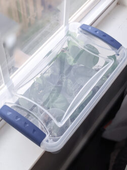 How to make a plant propagation box, the perfect mini greenhouse!