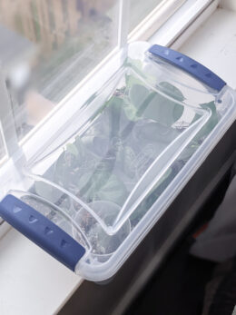 How to make a plant propagation box, the perfect mini greenhouse!