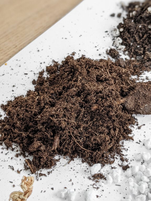 Soil 101: Your guide to cultivating the best soil for houseplants
