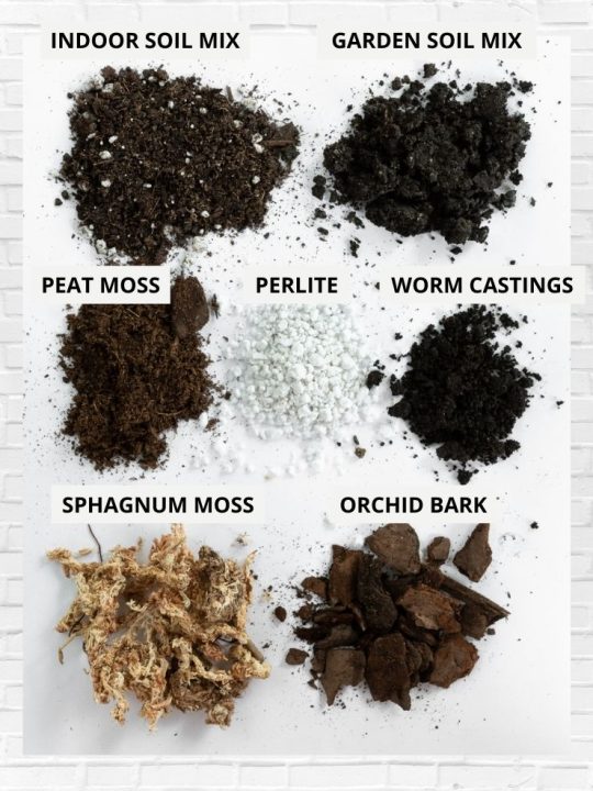 What are the different houseplant soil ingredients I can use?