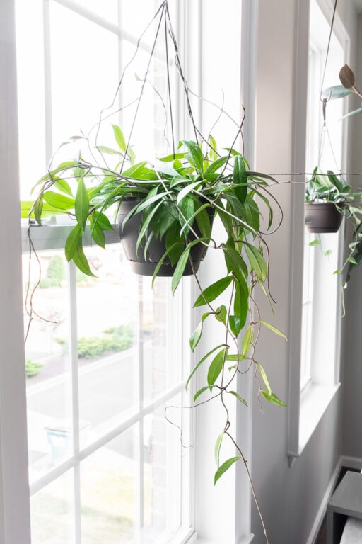 Want to add DIY window trim to your builder-grade bare windows?