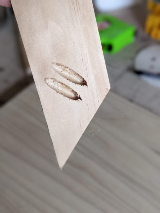 How to make a simple DIY cat window perch!