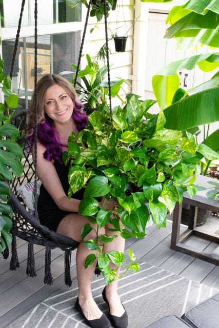 11 gorgeous pothos varieties to add to your collection!