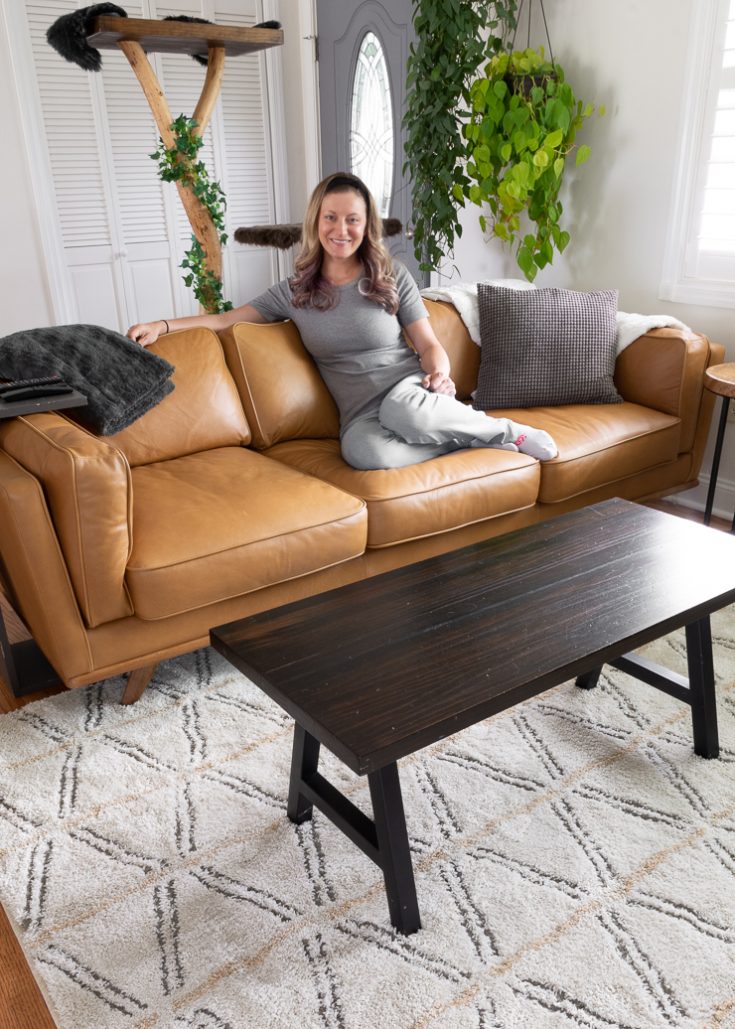 My totally unbiased, unsponsored Article sofa review!