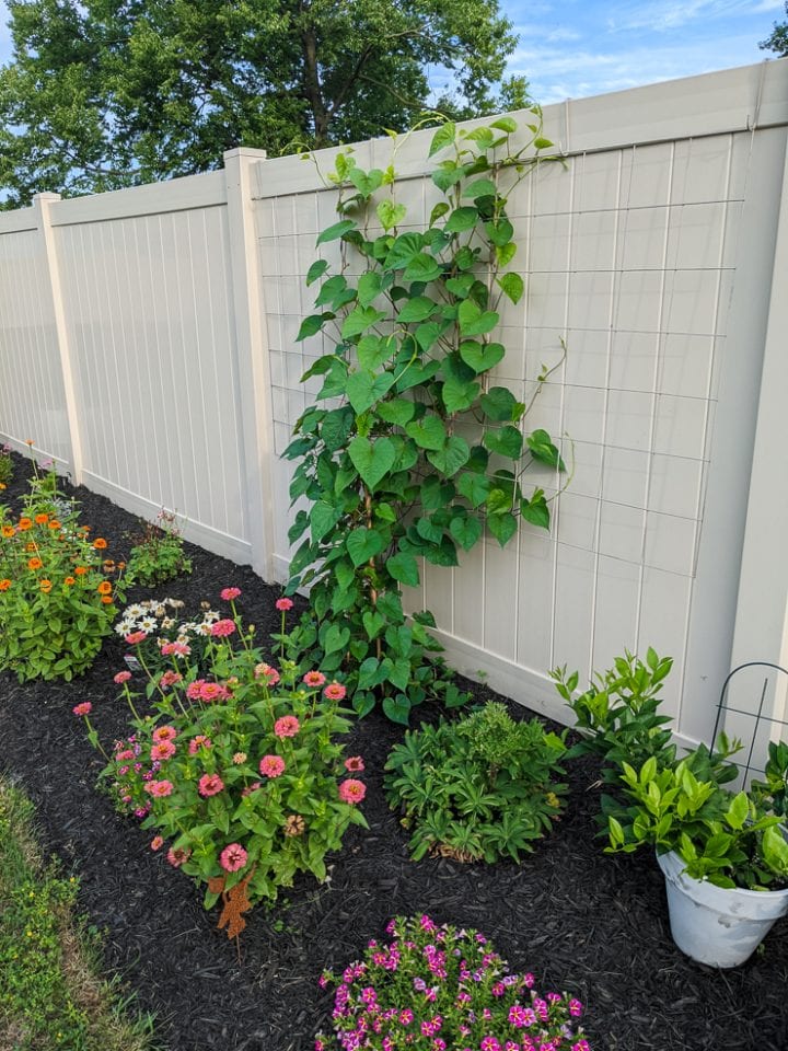 How I made a DIY wire trellis to hang on our vinyl fence