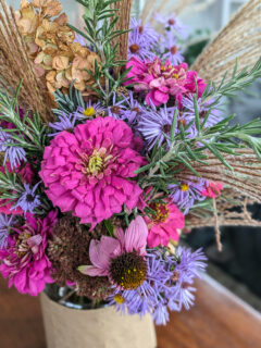 Learn how to grow aster flowers—a perfect fall pollinator!