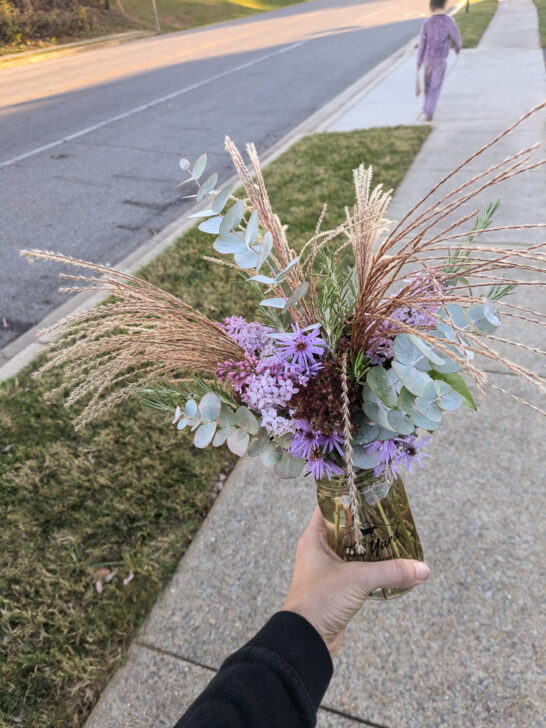 Learn how to grow aster flowers—a perfect fall pollinator!