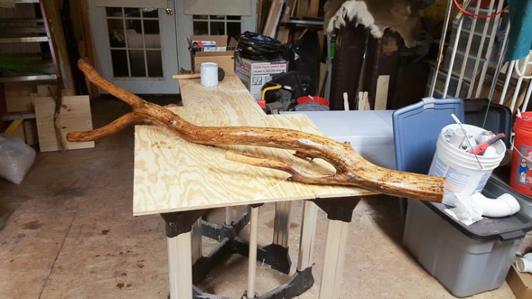 Cat lovers...learn how to make a DIY cat tree using real branches!