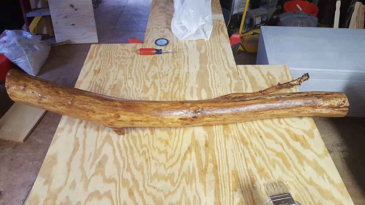 How to treat tree branches for indoor use & decor!