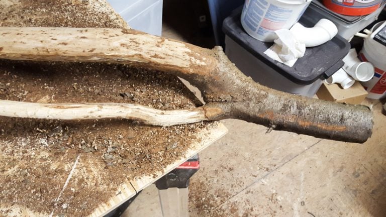 How to treat tree branches for indoor use & decor!