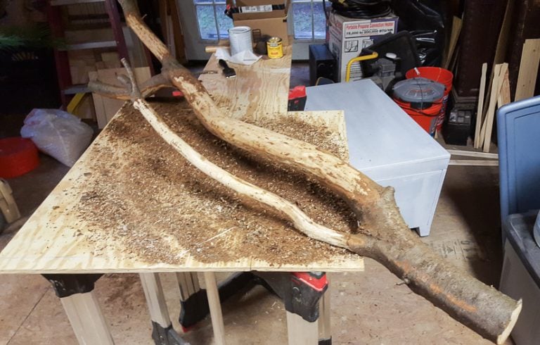 How to treat tree branches for indoor use & decor!