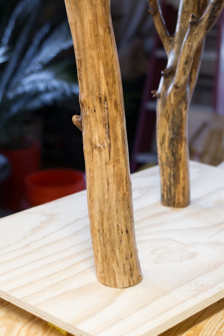 Cat lovers...learn how to make a DIY cat tree using real branches!