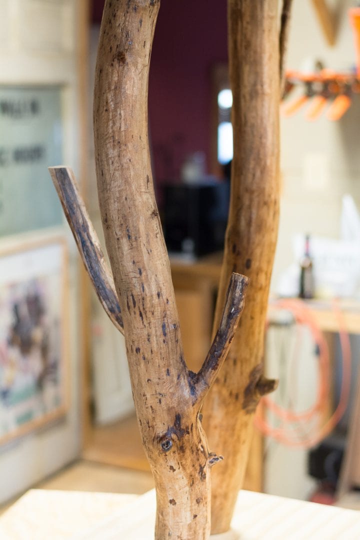 Cat lovers...learn how to make a DIY cat tree using real branches!