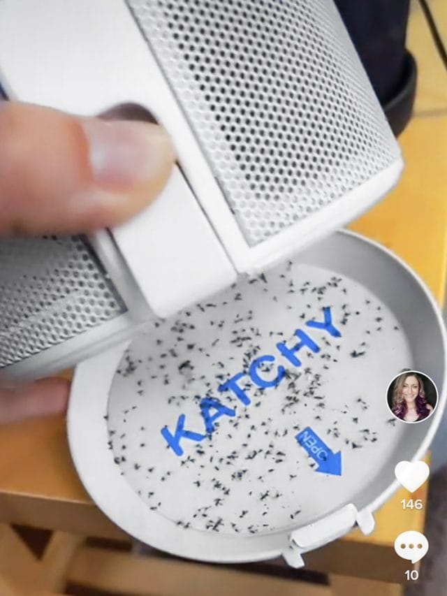 Here's my 100% unbiased Katchy indoor insect trap review!