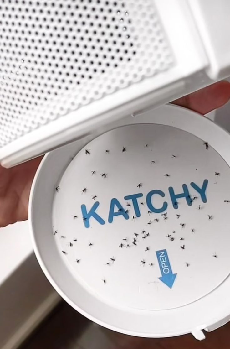 Here's my 100% unbiased Katchy indoor insect trap review!