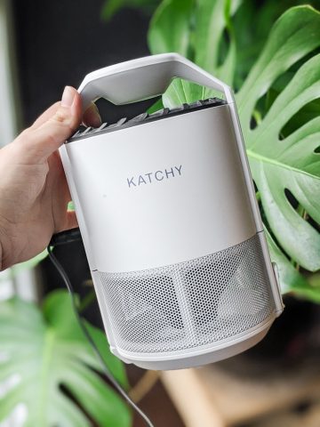 Here's my 100% unbiased Katchy indoor insect trap review!