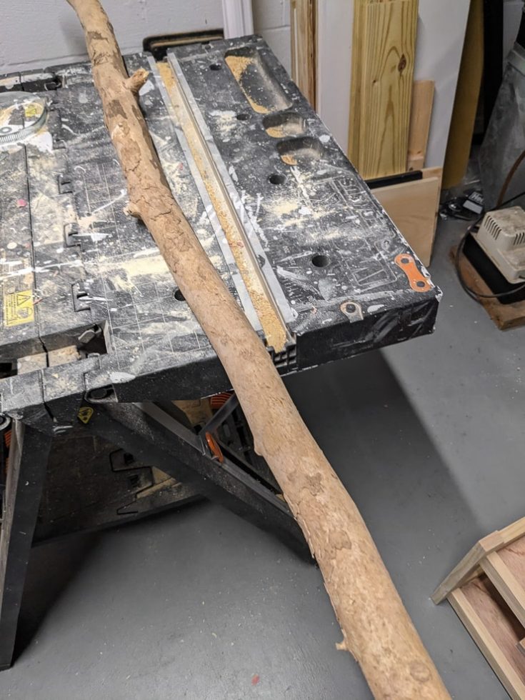 See how I made a gorgeous DIY tree branch plant hanger!