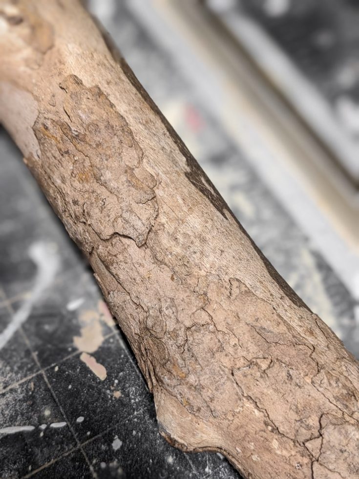 See how I made a gorgeous DIY tree branch plant hanger!