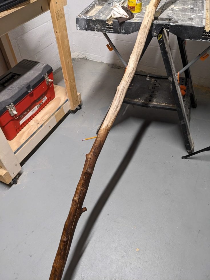 See how I made a gorgeous DIY tree branch plant hanger!