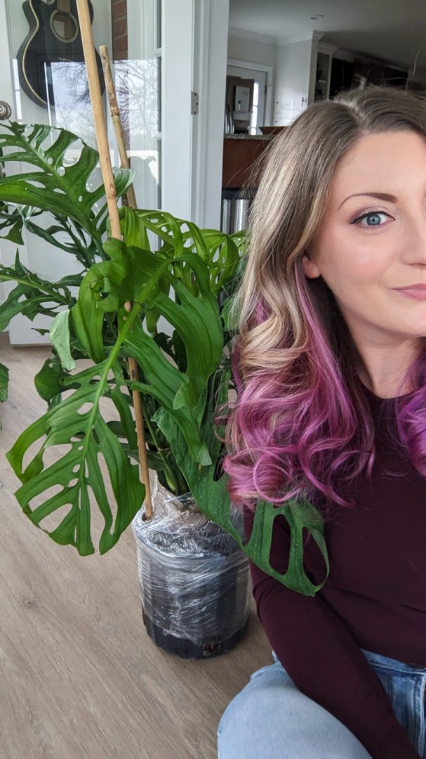 Did you get a Monstera Esqueleto?! Here's how to care for it!