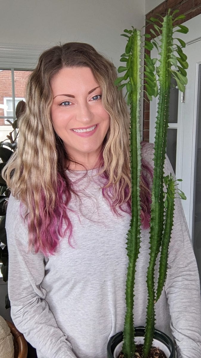 Learn how to grow a beautiful African Milk Tree with my care tips!