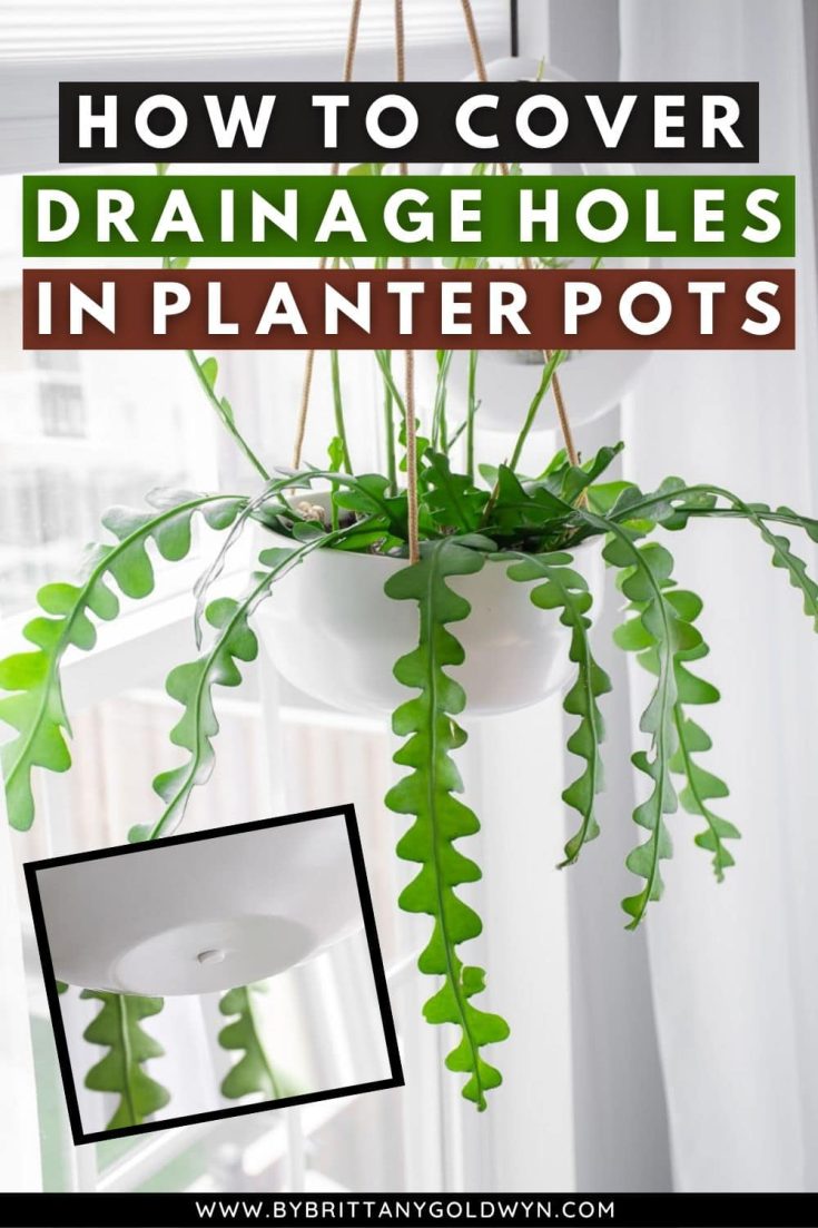 Learn about the different ways to cover drainage holes in pots!