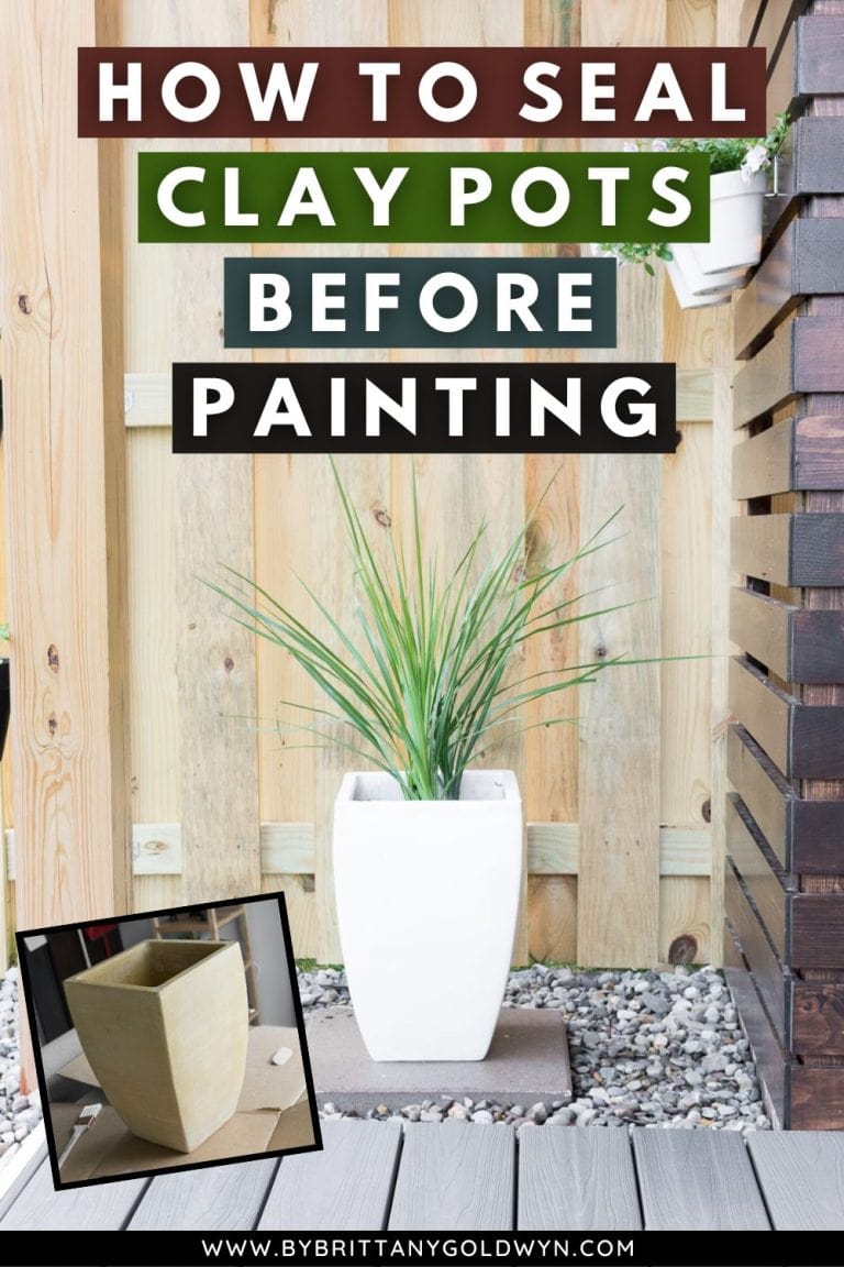 Waterproofing Clay Pots Using Thompson's Water Seal!