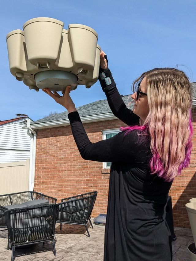 My totally unbiased GreenStalk vertical planter review!