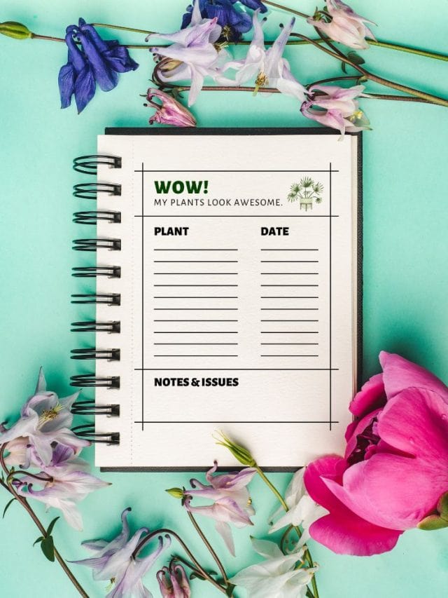 Download my 3 free printable plant watering trackers here!