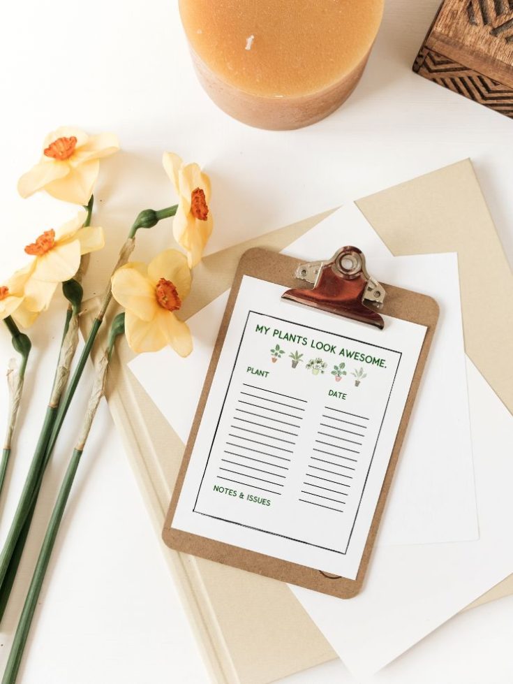 Download my 3 free printable plant watering trackers here!