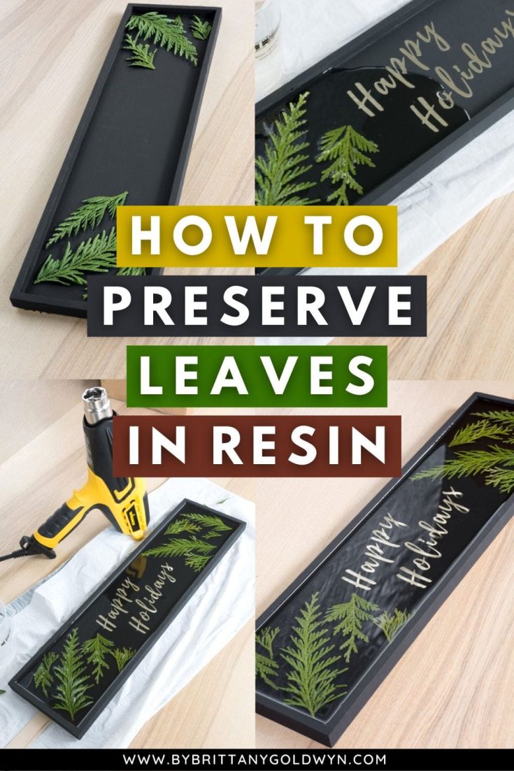 How to Preserve Evergreen Leaves in Resin to Make Gorgeous Art