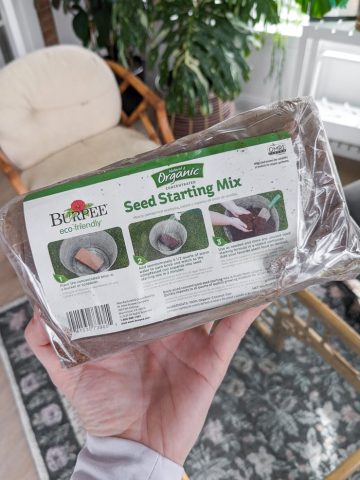 Seed starting 101 & how I start my seeds indoors