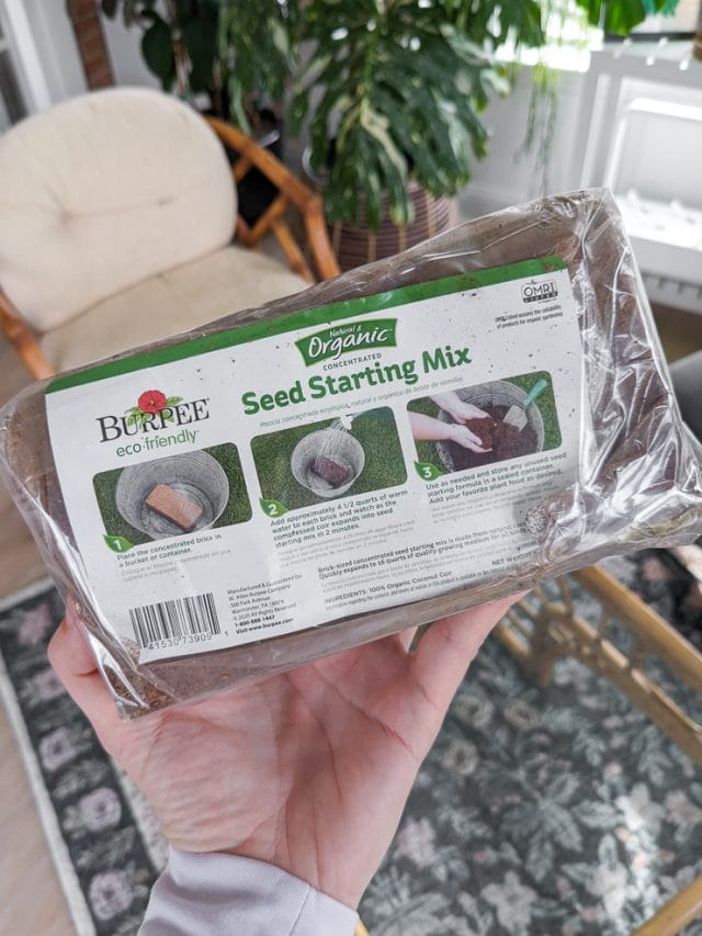 Seed starting 101 & how I start my seeds indoors